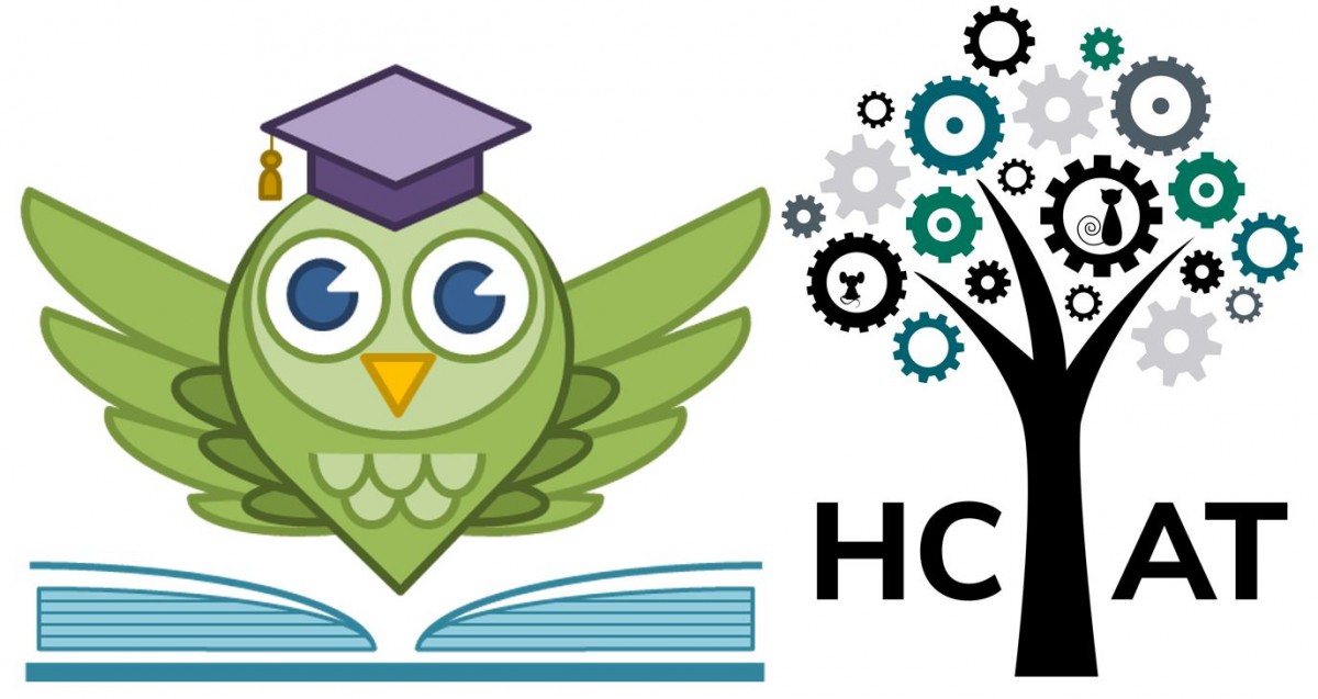 Newsletters – Milefield Primary School